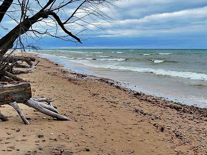 The untamed shoreline offers a peaceful retreat from civilization, where driftwood and gentle waves create nature's perfect meditation spot.