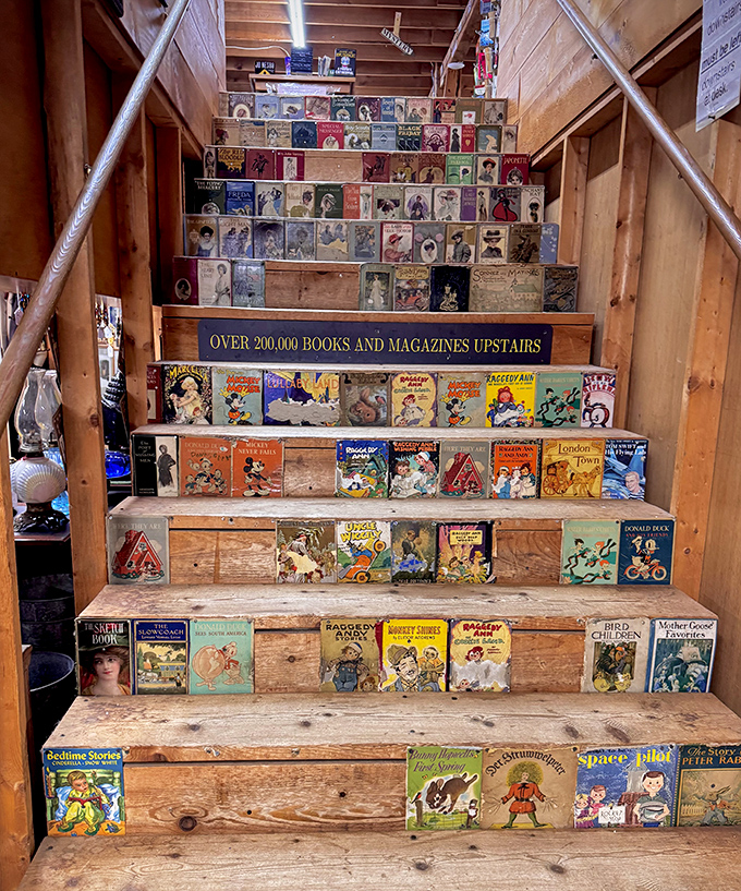 Literary stepping stones guide visitors upward &ndash; a colorful mosaic of vintage book covers creating the most enchanting staircase in Maine.