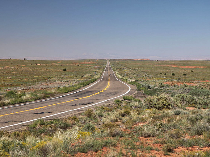 Desert survivors: Resilient plants dot the landscape along Route 98, their muted greens providing perfect contrast to the rusty terrain.