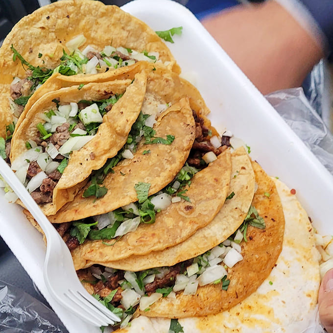 Taco perfection in its purest form: Corn tortillas cradling seasoned meat, topped with fresh cilantro and onion – simplicity at its finest.