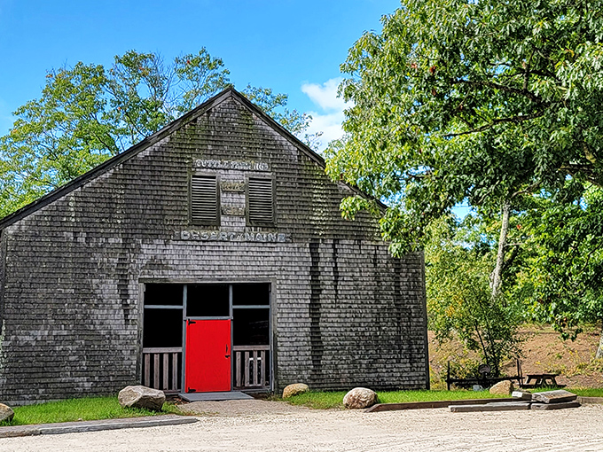 The historic Tuttle Barn stands as a weathered witness to the farm that once thrived here before being swallowed by an unexpected sea of sand.