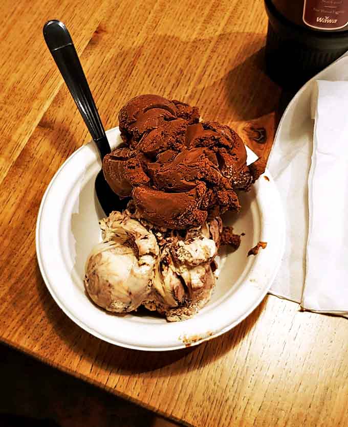 Two scoops of heaven sharing a bowl &ndash; chocolate intensity meets creamy vanilla in a dance of flavors that's worth every calorie.