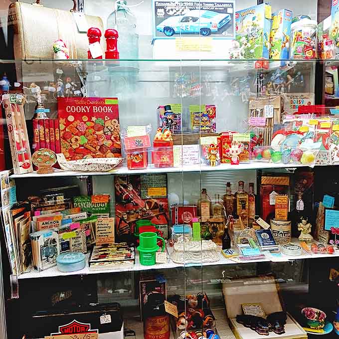Grandma's attic meets museum-quality collection in these display cases, where childhood memories and collector's dreams sit side by side under glass.