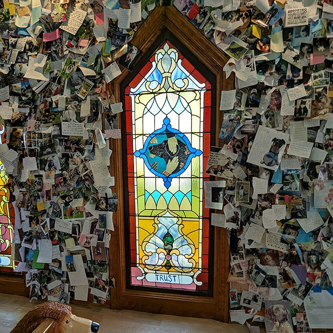 Colorful stained glass windows depicting playful pups cast a warm glow across the wooden floor and dog-shaped pews.