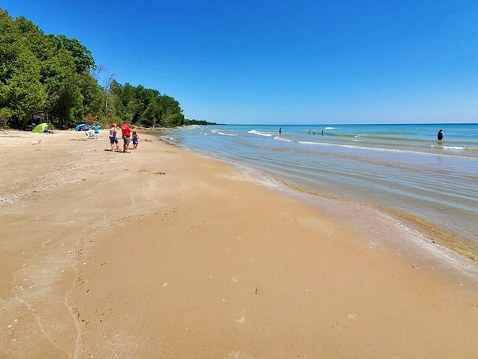 Harrington Beach State Park offers a quiet escape where forest meets shoreline, creating a perfect balance of shade and sunshine.