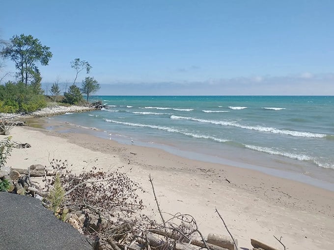 The sandy stretch at Harrington Beach seems to go on forever, creating a sense of peaceful solitude.