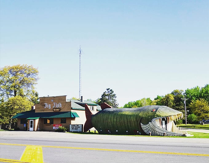 That enormous fish sculpture has become a beloved landmark that makes everyone smile.
