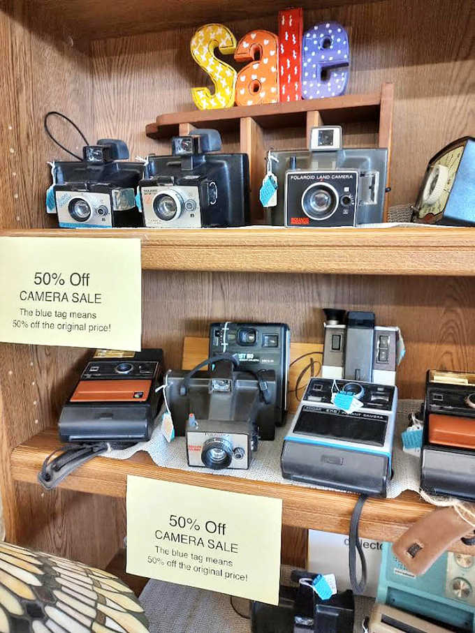 A photographer's dream corner featuring vintage Polaroids and classic cameras &ndash; each one a time capsule from the pre-digital era of photography.