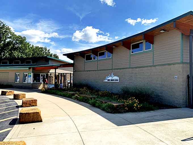 The modern facility building houses clean changing rooms that'll make you wonder why every pool can't be this nice.