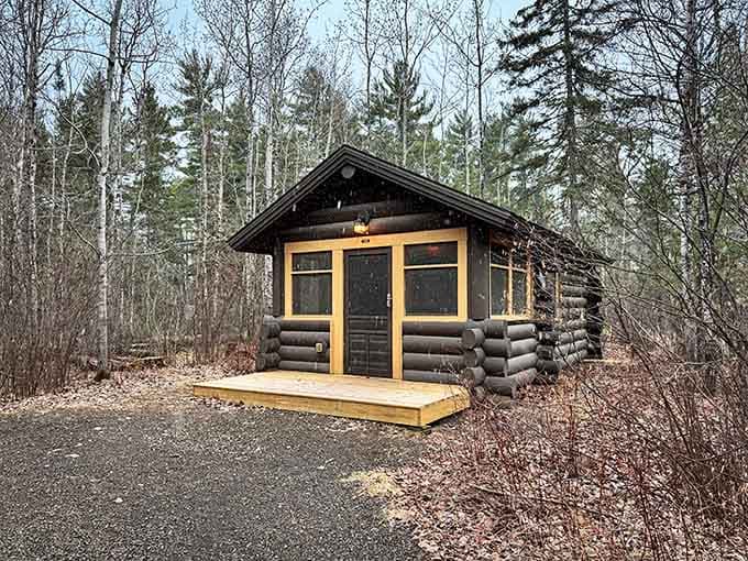 This cozy cabin offers the perfect compromise between roughing it and actually being comfortable, like camping with a roof and walls and dignity.