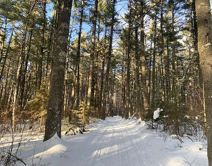 Winter transforms ordinary trails into magical pathways where every step writes your story in pristine snow.