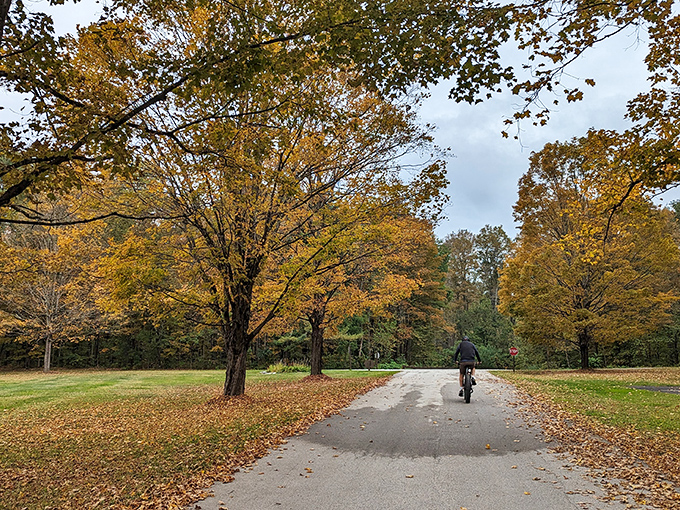 Fall's golden touch transforms Lake St. Catherine's bike paths into tunnels of amber and crimson.