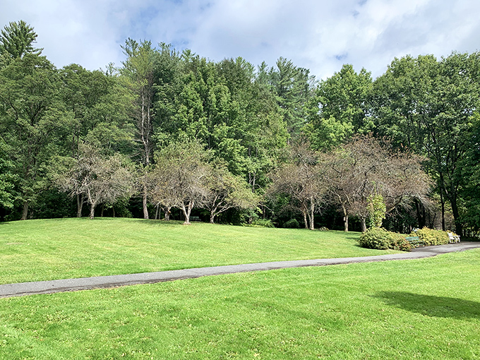 Billings Park's expansive green spaces invite visitors to breathe deeply and slow down, a perfect antidote to our hurried modern lives.