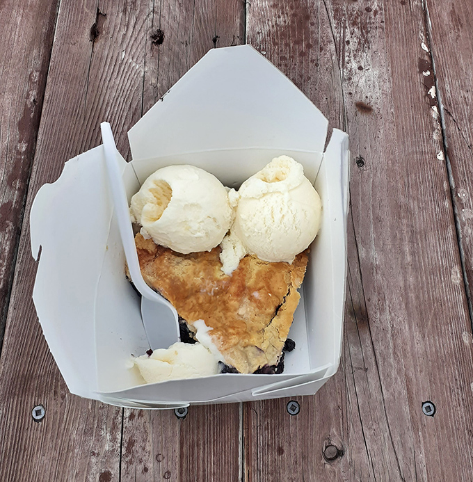 The ultimate indulgence: warm blueberry pie topped with creamy vanilla ice cream, creating that perfect hot-cold contrast that makes dessert dreams come true.