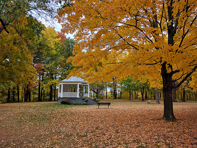 Nature's confetti carpets this historic gazebo, where autumn transforms an everyday park into a golden sanctuary for quiet contemplation.