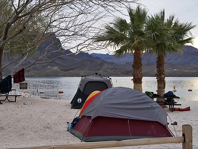 Camping with a waterfront view? Yes, please! Fall asleep to gentle waves at Cattail Cove's shoreline sites.