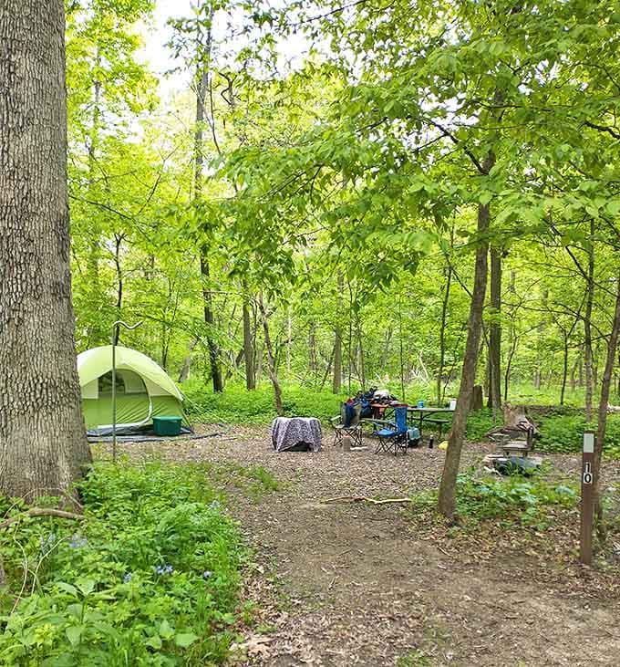 Camping here means trading your ceiling for stars and your alarm clock for birdsong, which honestly sounds like the best deal ever.