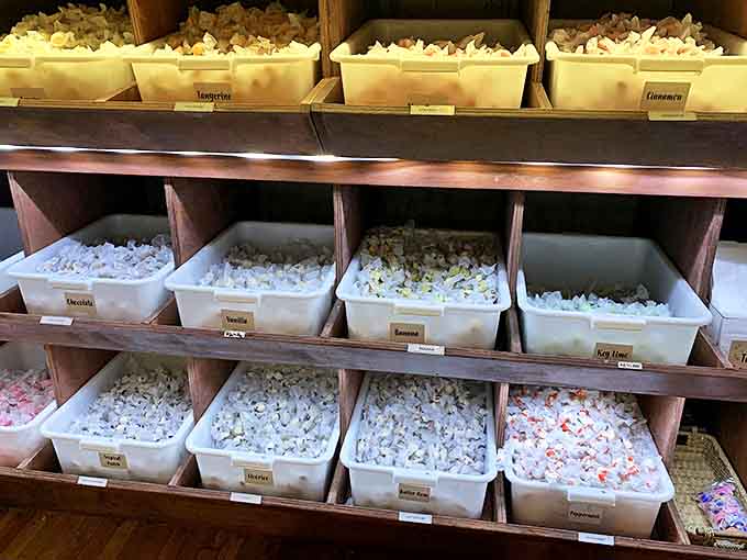 Bins of saltwater taffy and homemade fudge line the walls &ndash; a colorful array that makes choosing just one flavor the day's most delightful challenge.