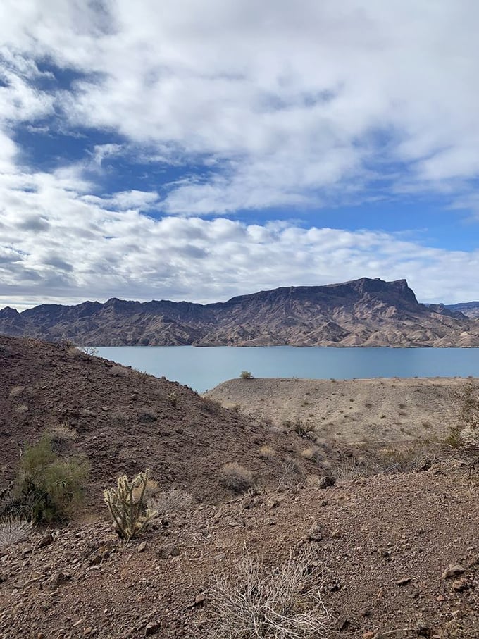 Cattail Cove's waters are so impossibly blue they look Photoshopped. Desert meets oasis in a landscape that defies Arizona stereotypes.