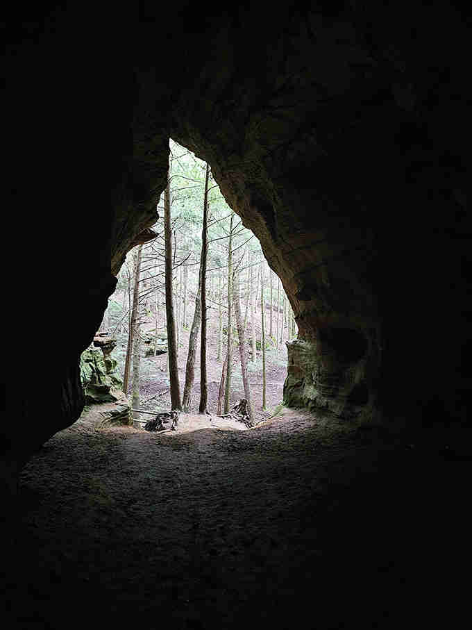 Peering from darkness into light, this cave opening frames the forest beyond like a living landscape painting crafted by time itself.