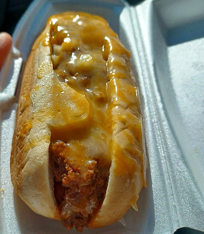 The chili cheese dog arrives like a beautiful mess of a masterpiece, demanding both napkins and your complete, undivided attention.
