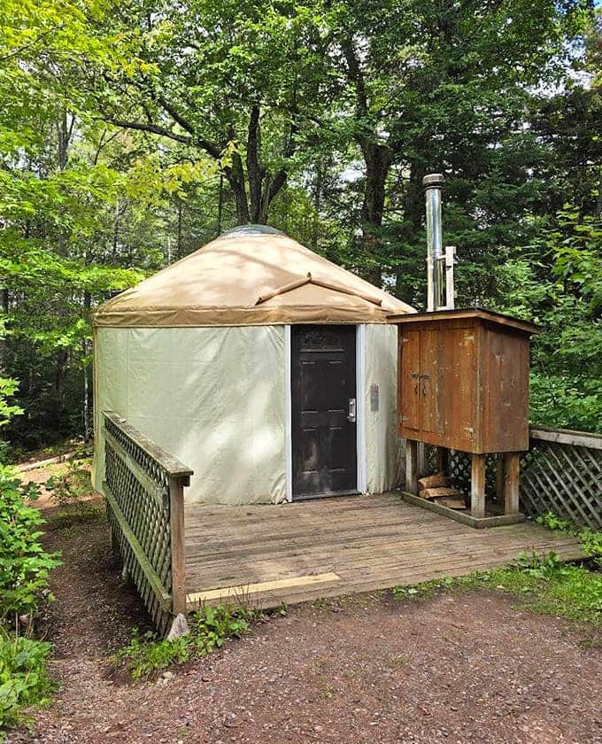 Yurts provide a middle ground between roughing it and actual comfort, proving that wilderness doesn't always require sleeping on rocks and roots.
