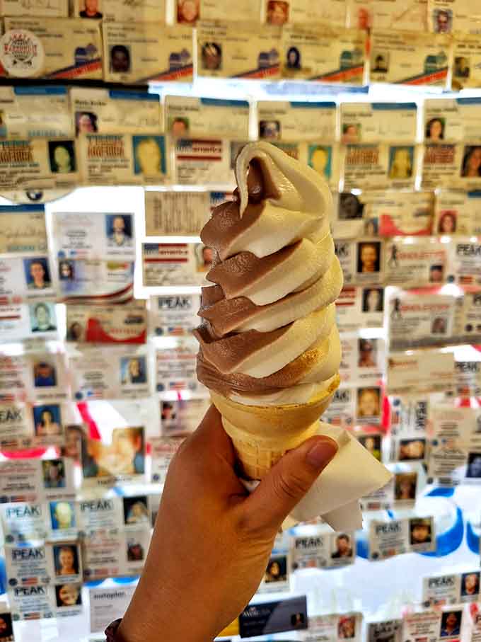 The chocolate-vanilla twist is basically the yin and yang of ice cream philosophy, achieving perfect balance in cone form for your eating pleasure.