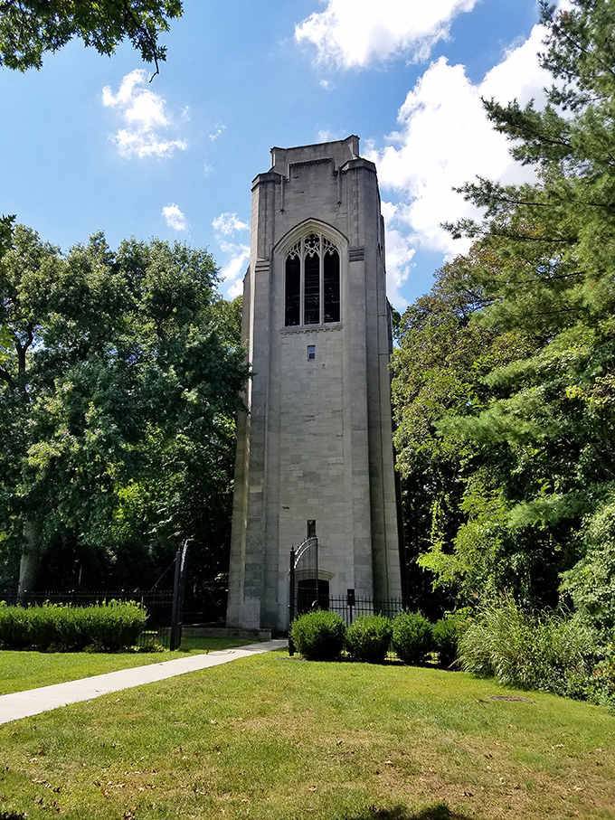 Dogwood Park's stone tower reaches skyward, a silent sentinel watching over picnickers and daydreamers below.