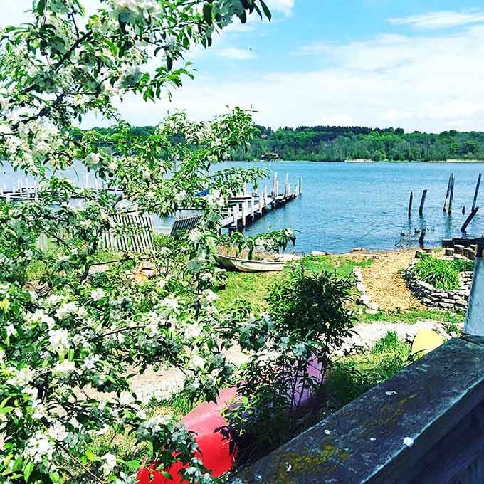 Spring brings renewal to Elberta's waterfront, where apple blossoms frame the peaceful harbor view like nature's own picture window.