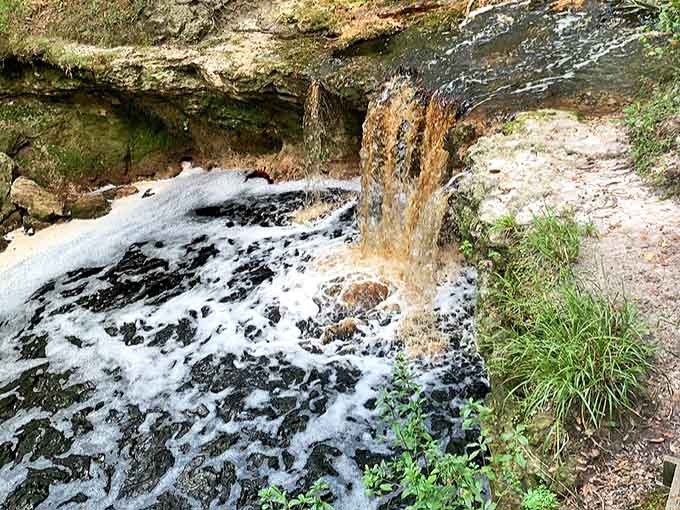Falling Creek Falls cascades through ancient limestone, creating a natural soundtrack that drowns out the modern world &ndash; Florida's hidden waterfall gem.