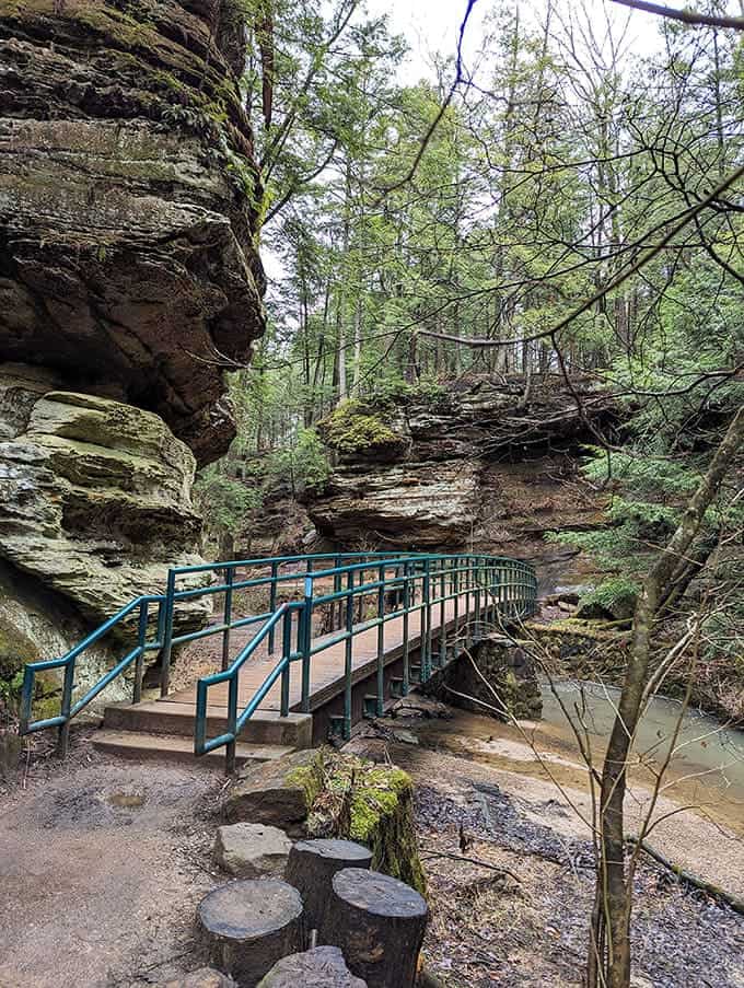 This isn't just a footbridge; it's the gateway to adventures your office cubicle could never provide.