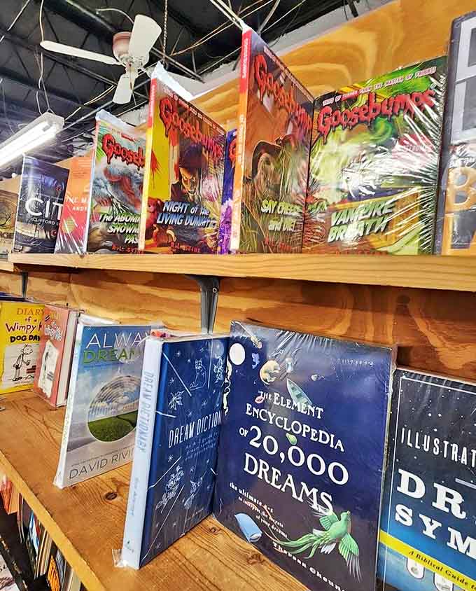 Childhood nostalgia meets dream interpretation as Goosebumps horror classics share shelf space with guides to understanding your subconscious adventures.