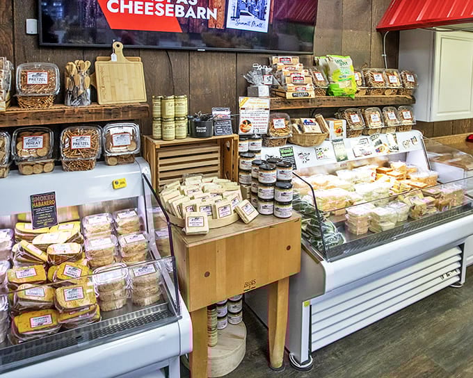 Creamy concoctions await curious taste buds, from garlic herb spreads that elevate crackers to buffalo chicken dip that's developed its own fan club.