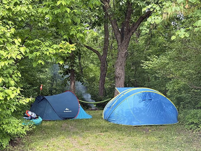 Hickory Hill Campground lets you experience nature without completely abandoning civilization, which is perfect for those who like their wilderness with occasional pizza access.