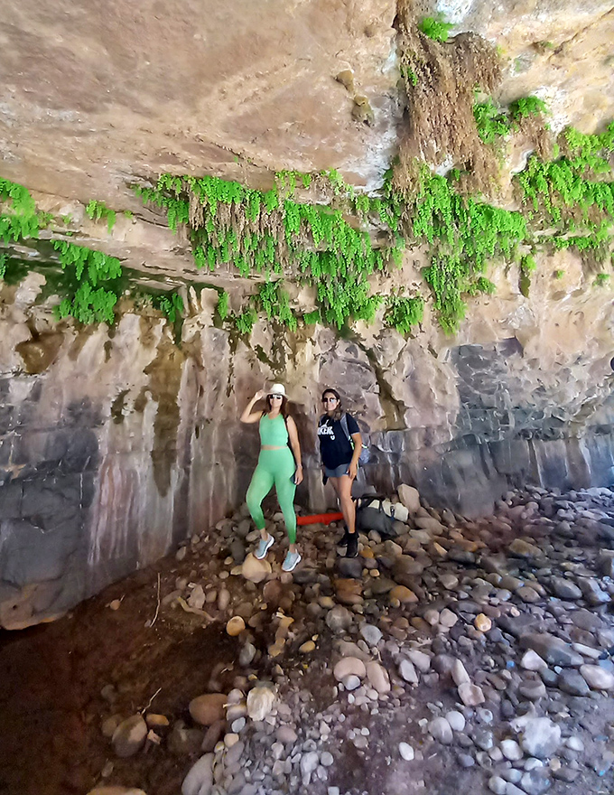 The path less photographed: Lush greenery surprises hikers along the canyon floor, proving Arizona isn't just cacti and tumbleweeds.