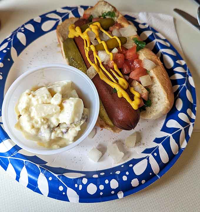 The Chicago-style dog in all its glory – a symphony of toppings on a perfectly cooked frank, served with potato salad that would make your grandmother nod in approval.