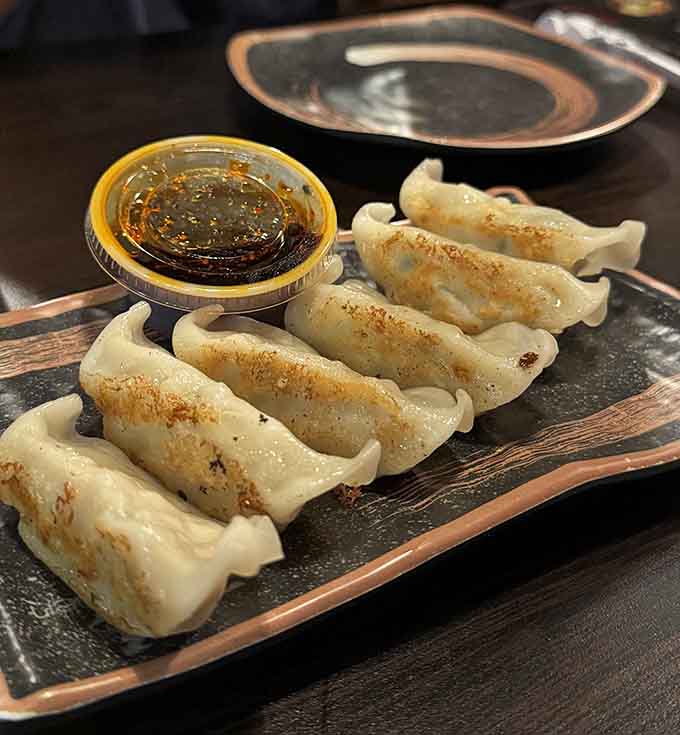 These pan-fried dumplings achieve textural perfection, with crispy bottoms giving way to tender, flavorful filling that practically melts away.