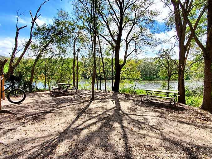 Lakeside serenity awaits &ndash; These peaceful waters once served as mining pits before nature reclaimed them in spectacular fashion.