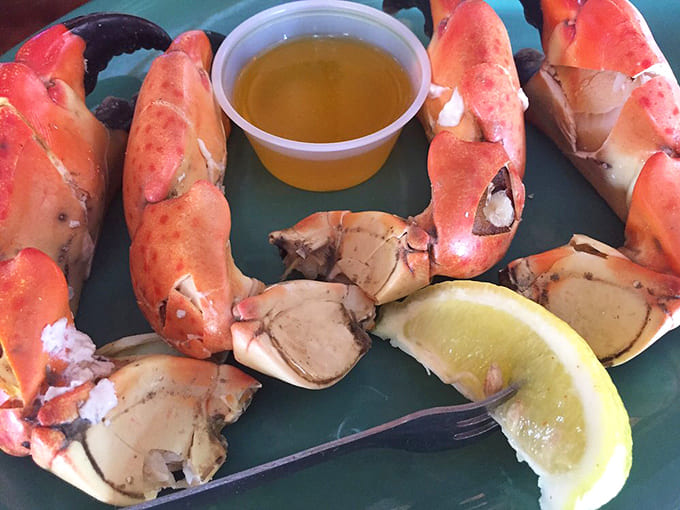 These magnificent stone crab claws aren't just seafood; they're an experience &ndash; crack, dip, taste, and watch as your eyes involuntarily roll back in pure bliss.
