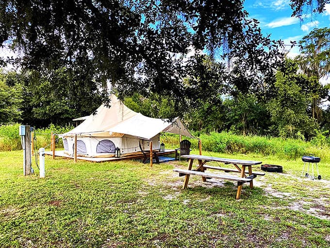 Glamping: For when you want to commune with nature but still need a proper mattress. Wilderness with a side of comfort!