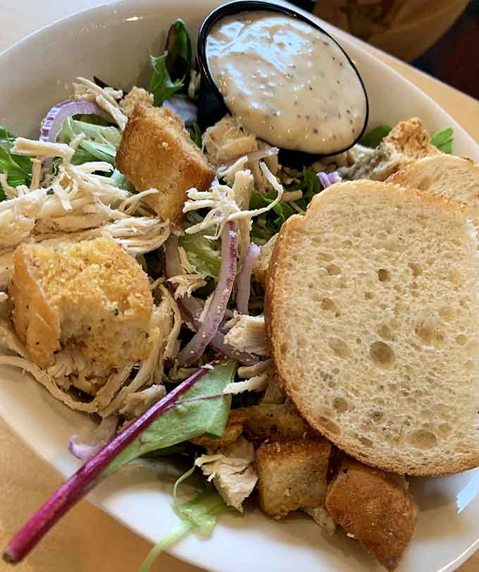 The Caesar salad arrives loaded with tender chicken and crispy croutons, proving that even the supporting players deserve standing ovations here.