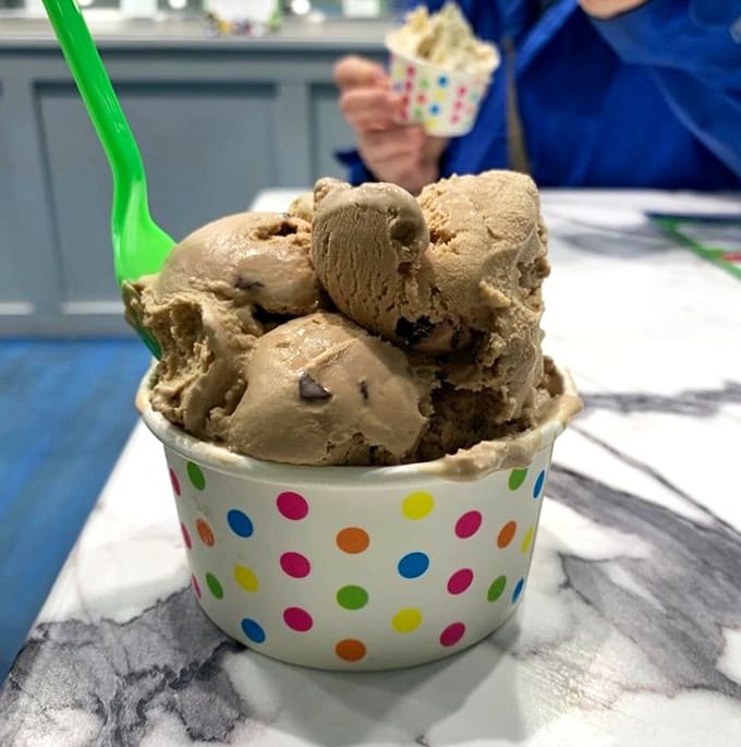 Rich mocha java chip ice cream that looks so velvety smooth you can almost taste the coffee notes through the screen.