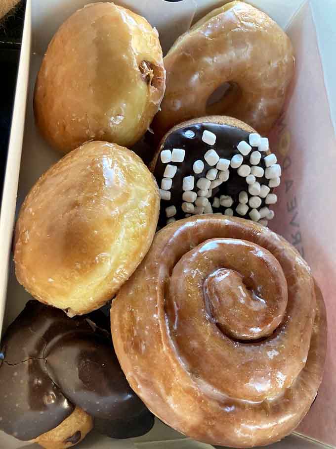 A half dozen donuts that prove variety is the spice of life, from classic glazed to chocolate indulgence.