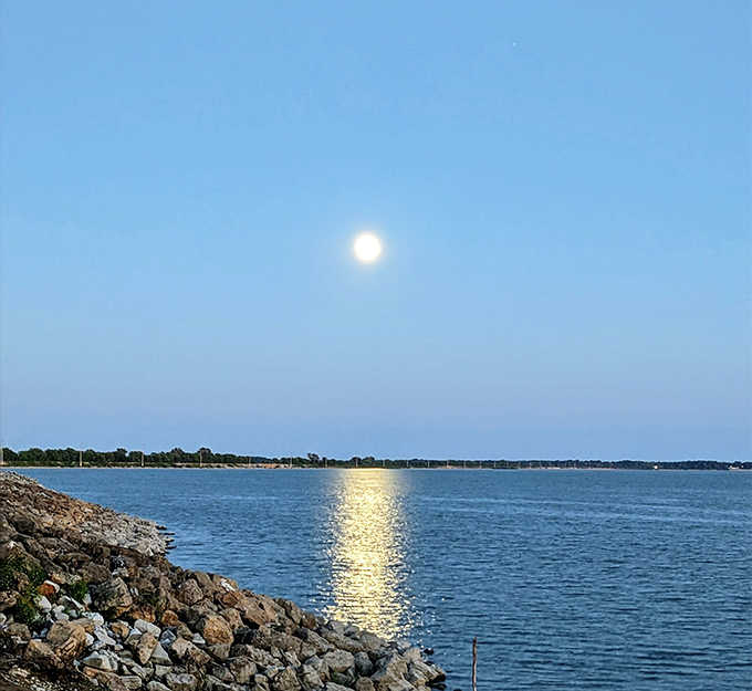 The full moon casts a spotlight across Carlyle Lake, creating a silver pathway that looks like it leads straight to another world.