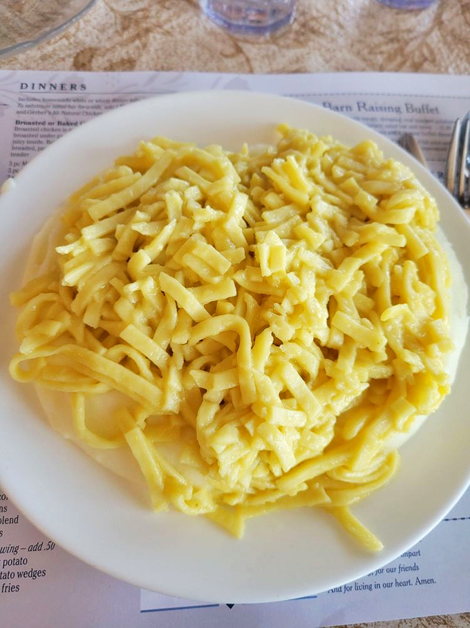 Pure comfort food! Enjoy a heaping serving of creamy mashed potatoes topped with delicious, buttered noodles. So satisfying!