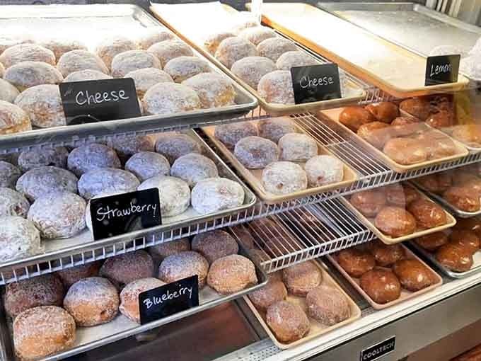 Traditional Polish paczki sit plump and powdered, their sugar-dusted exteriors hiding fruit-filled centers that honor Chicago's rich immigrant heritage. 