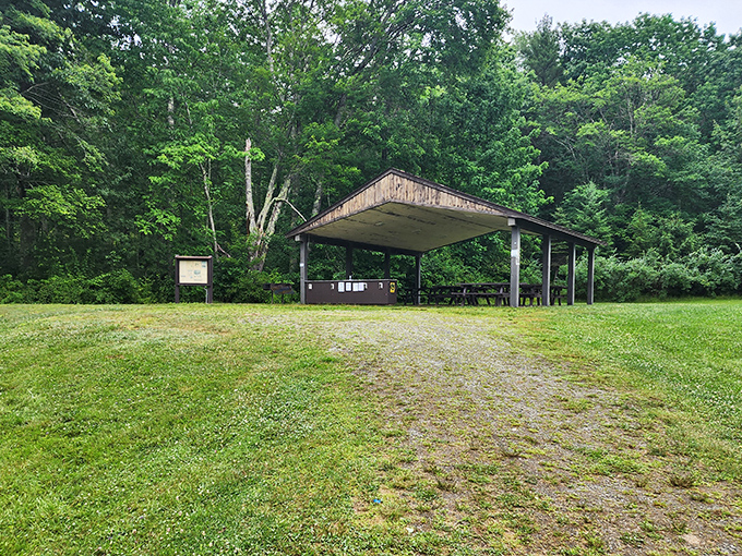 The park's pavilion stands ready for gatherings, picnics, and shelter from sudden Maine showers. Community happens under this humble roof.