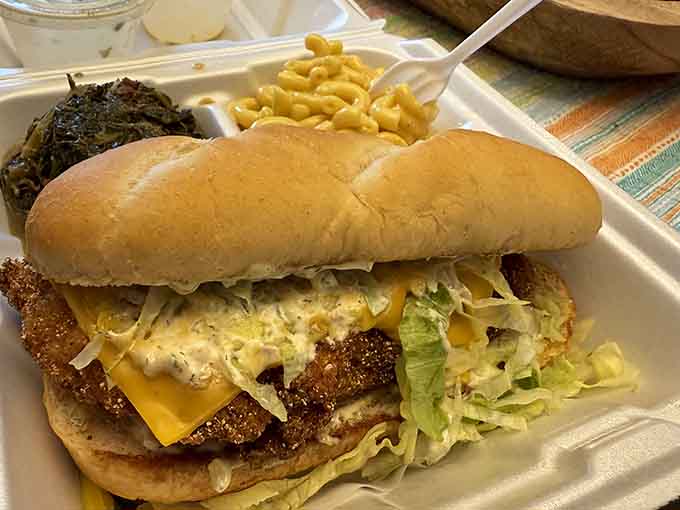 That golden-brown chicken sandwich with melted cheese looks like it's auditioning for a food magazine cover shoot.