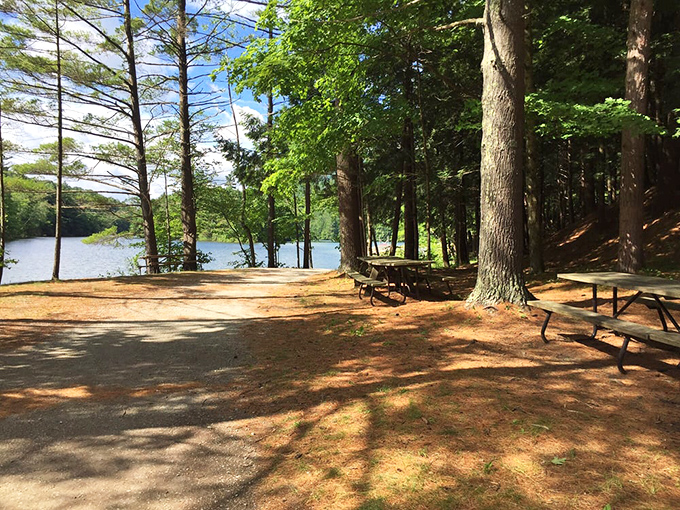 Lunch with a view: These picnic spots transform ordinary sandwiches into gourmet experiences. Calories don't count with scenery this good.