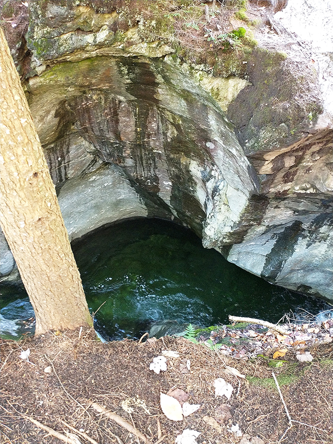 Nature's infinity pool: This perfectly carved basin showcases millions of years of patient water erosion creating swimming hole perfection.